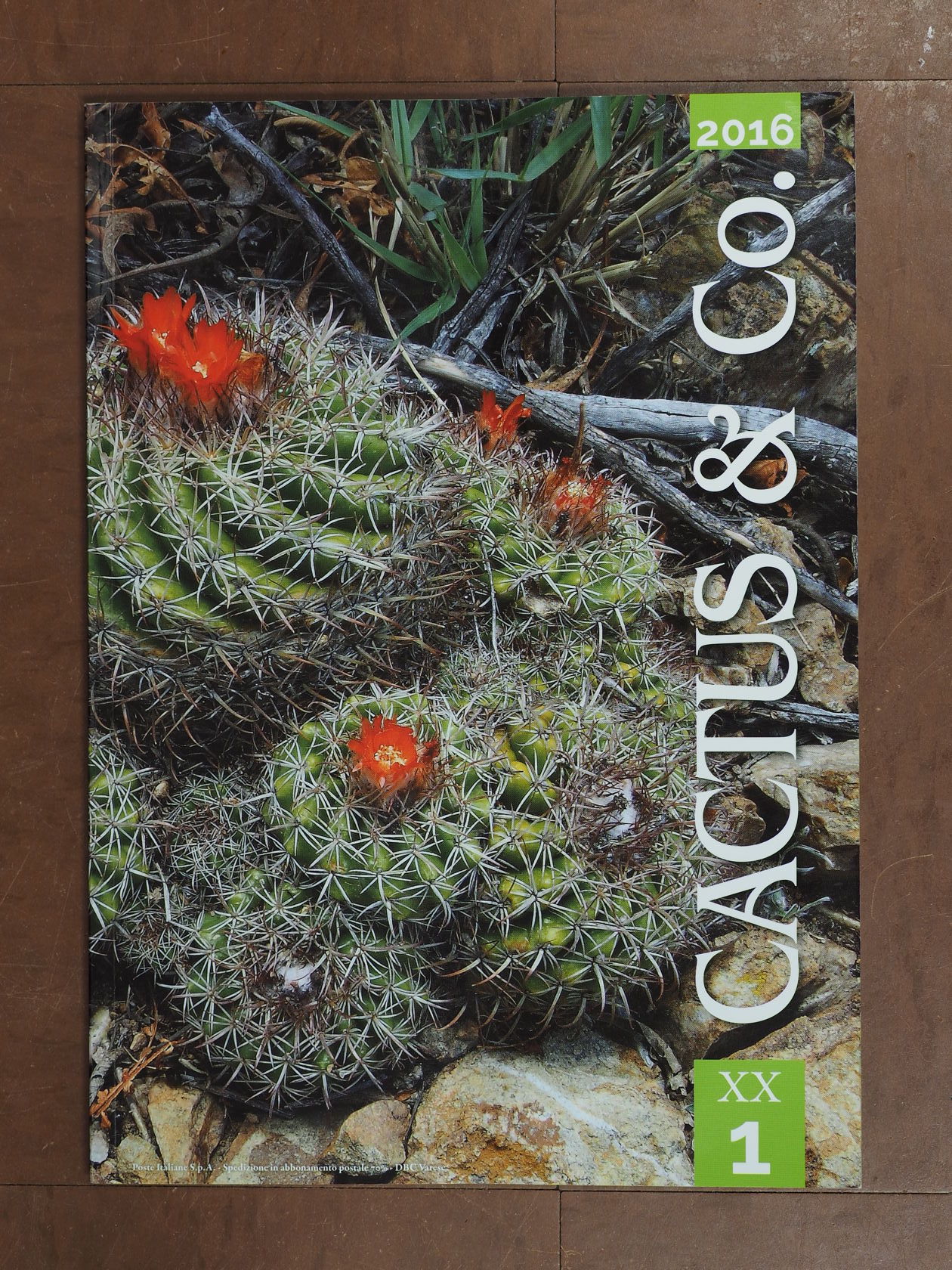 Resources – Central Oklahoma Cactus & Succulent Society